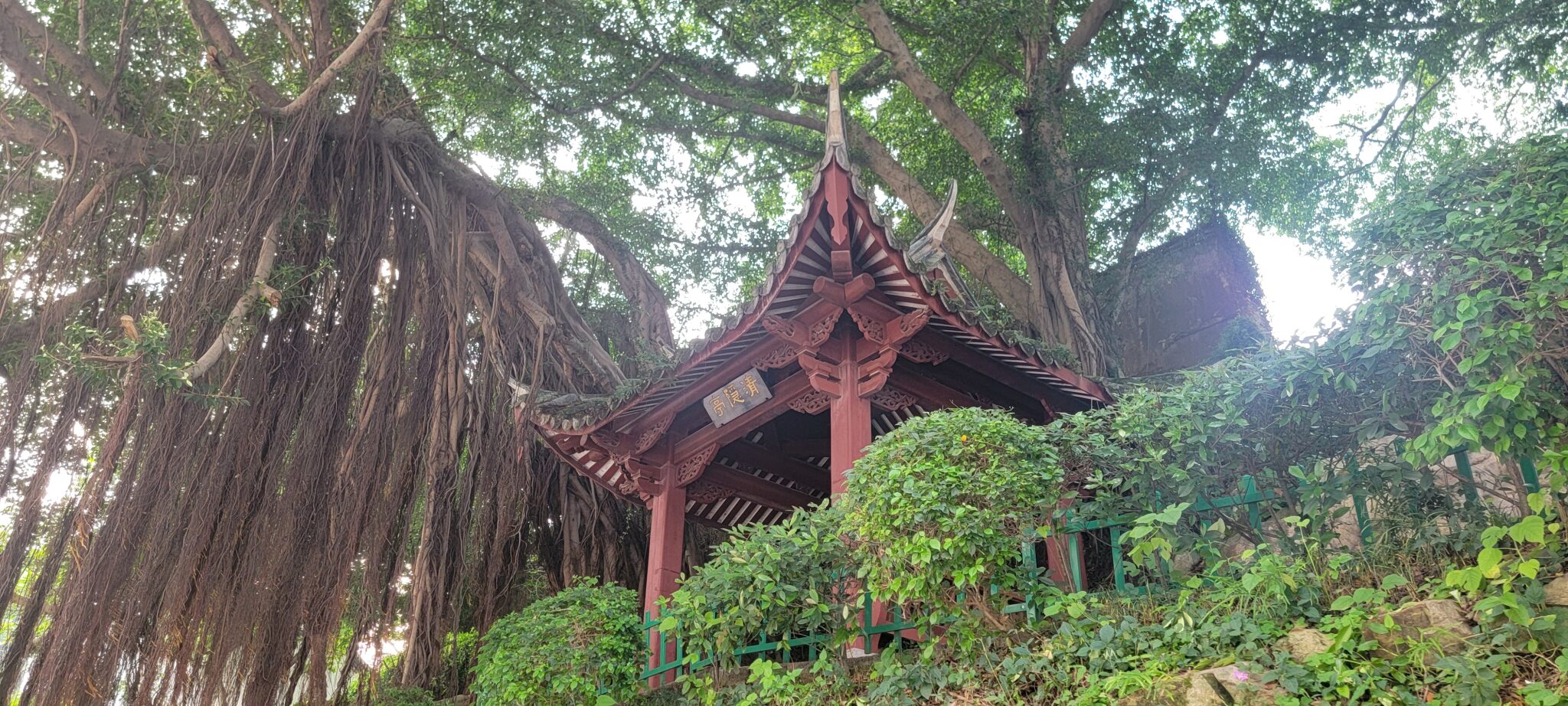 Exploring HEMA in China: My Teaching Journey Across the Middle Kingdom ...